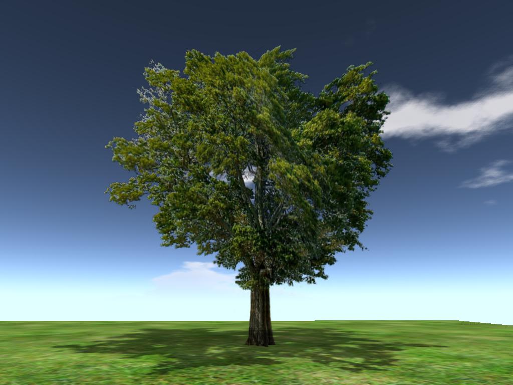 Summer Elm Tree 1 - ver 3.0 | Kitely