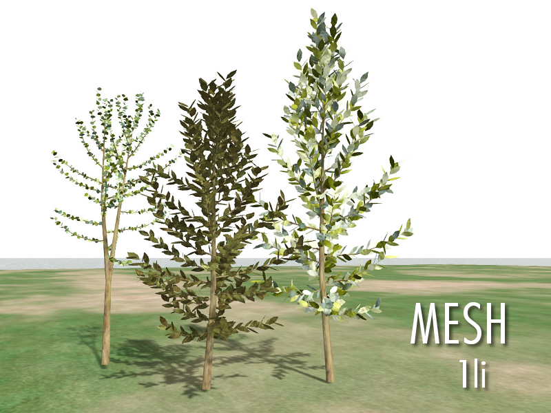 Mesh Tree Set | Kitely
