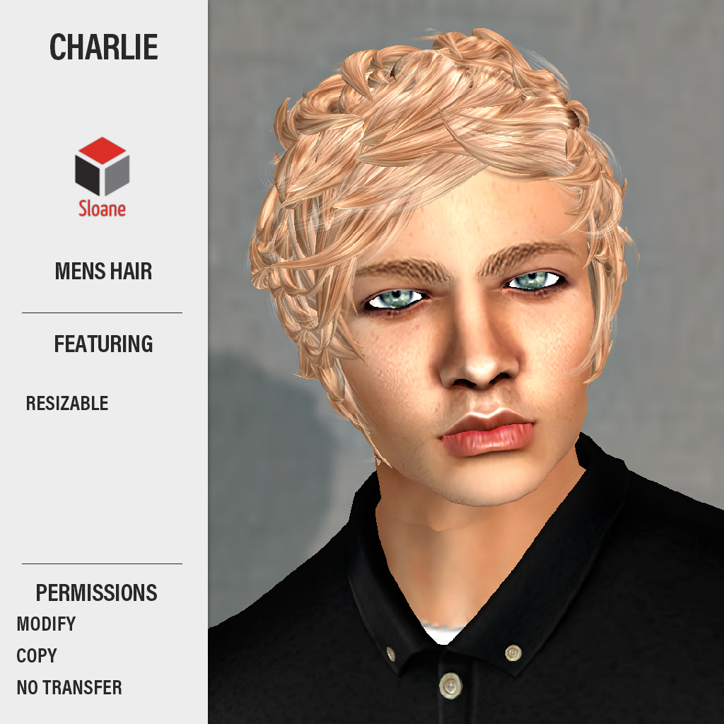 Sloane . Hair . Charlie | Kitely