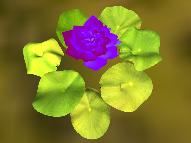 Lotus five varieties color changing | Kitely