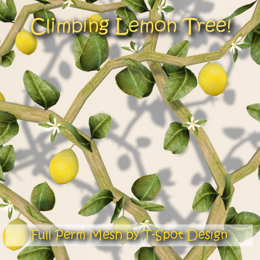 T-Spot Mesh - Climbing Lemon Tree - Full Perm | Kitely