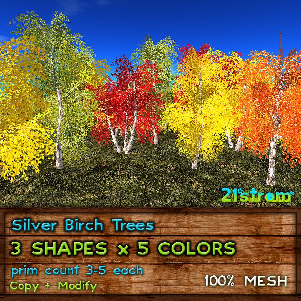 21strom Silver Birch mesh trees - 15 trees, all seasons | Kitely