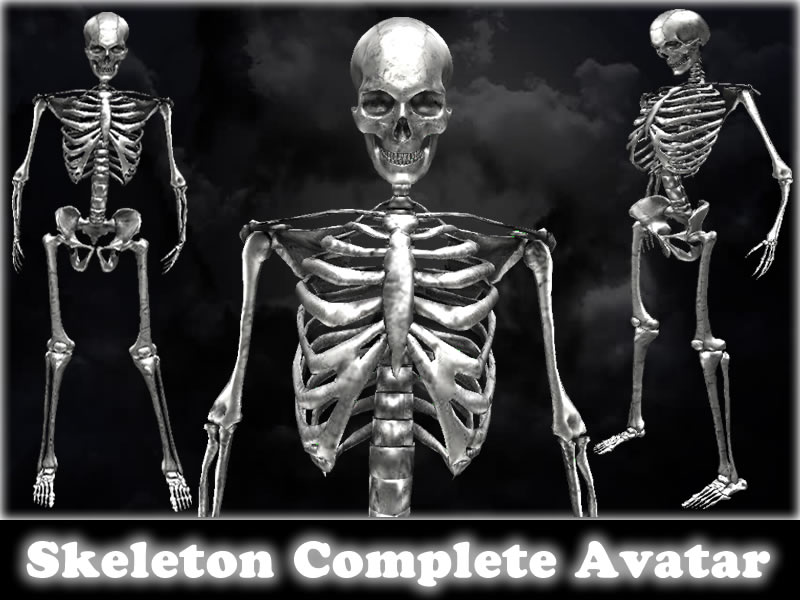Skeleton Complete Avatar | Kitely