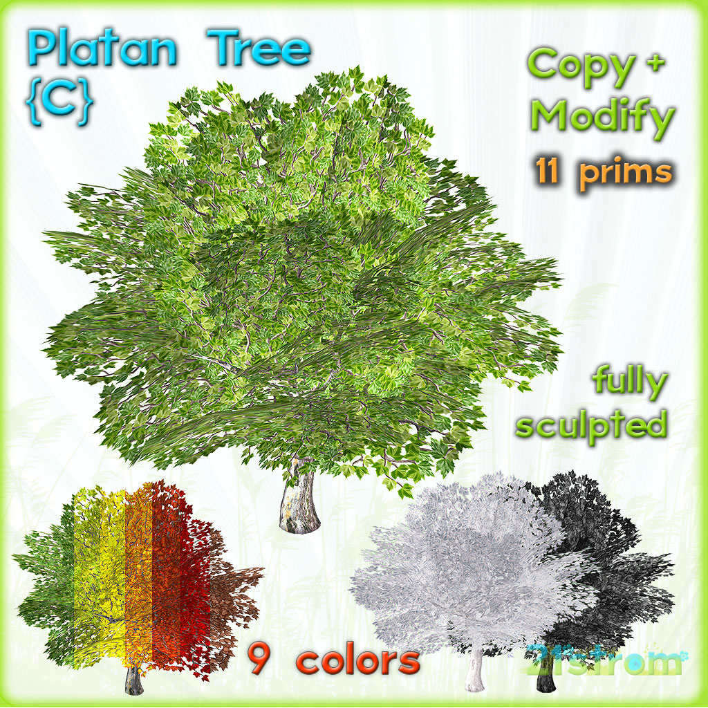 21strom: Platan Tree {C} sculpted in 9 colors | Kitely