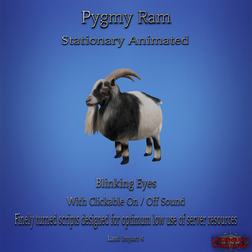 Pygmy Ram Stationary Animated w/On Off Sound | Kitely